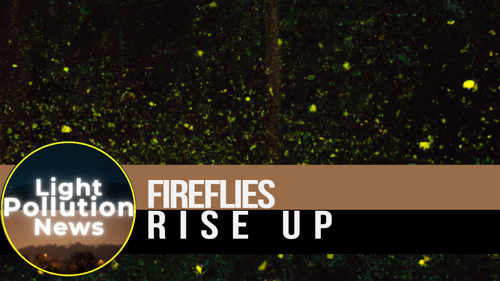 Fireflies, Rise Up – Light Pollution News